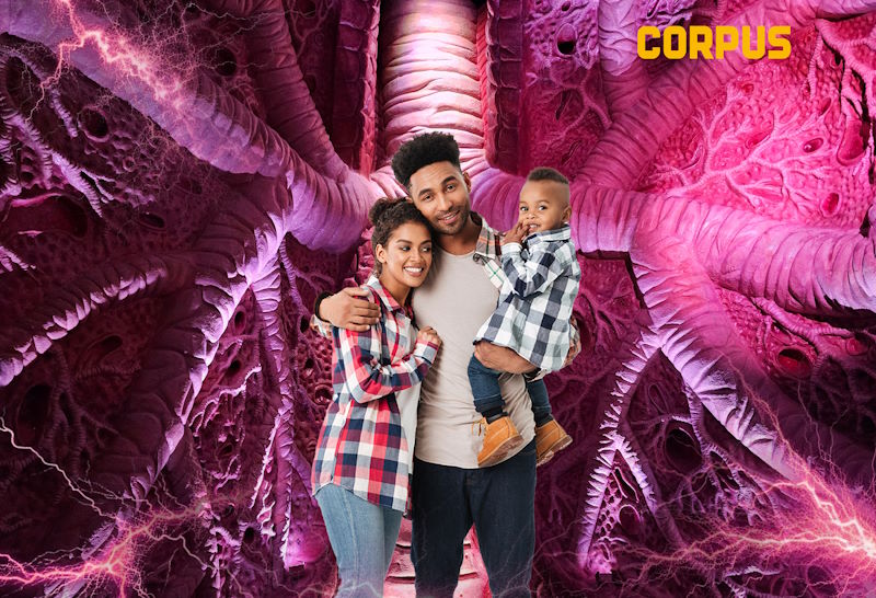 Photo 4 - Description of the photo